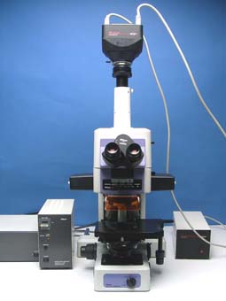SOLD - Used Nikon E800 Model Fluorescence Microscope from LabCommerce
