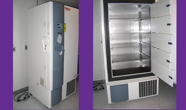 SOLD - Used Thermo Scientific Forma -86°C Ultra Low Freezer (ULT) from ...
